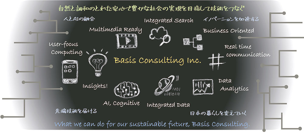 Basis Consulting Inc.